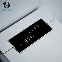 China Multi Function Smart Intelligent Toilet S Trap 200mm Hotel Apartment Style for sale