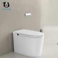 China Modern Smart Intelligent Toilet Bowl Premium Ceramic S Trap 300mm Multi Function for sale