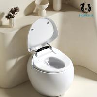 China Egg Shape Smart Intelligent Toilet Side Button Full Functions Luxury Hotel Water Saver for sale