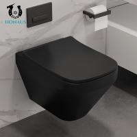 China Luxury Wall Hung Toilet Bowl Dual Flush 505x305x360mm Nano Glaze Ceramic for sale