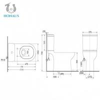China Two Piece Toilet Bowl 766x376x720mm Dual Flush 250-305mm Pit Spacing Elongated Ceramic for sale