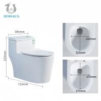 China Dual-Flush Single Piece Commode with S/P Trap Drainage Pattern for sale