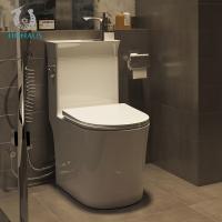 China Multi Function White Ceramic One Piece Toilet Bowl & Basin Water Saver Hotel Use S Trap for sale