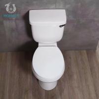 China Floor Mounted Two Piece Toilet Bowl 750x370x710mm Ceramic Dual Flush Wash Down for sale