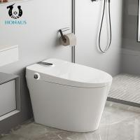 China Small Size Smart Intelligent Toilet Ceramic Multi Functions Modern Design Siphonic for sale