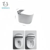 China Modern Smart Intelligent Toilet Best Ceramic Digital Screen Foam Shield Remote Control for sale