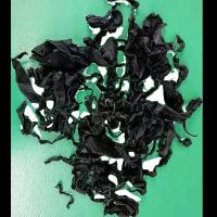 China Dehydrated Vegetables Drying Laver 20Kg 0.5Cm Bulk Packaging and Cutting Seaweed Dried Wakame for sale