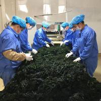China Factory Good Quality Delicious Alga Dark Green Dried Seaweed Smell Fragrant Dried Cut Seaweed Wakame for sale