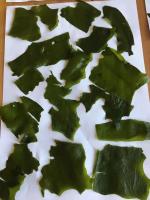 China Chinese Wholesale Delicious Seafood   Stem  Dried Seaweed Cut  Wakame for sale