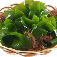 China Factory Supply Cheap Bag Packing  Tasty Food  Chuka Seaweed Dried Wakame for sale