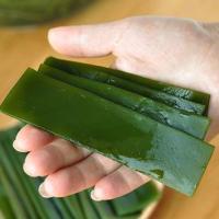China Hot Sell Sushi Dried Dashi Kombu Kelp KOMBU for sale