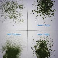 China Wholesale  Seaweed Ulva Flakes Dried AOSA Aonori for sale