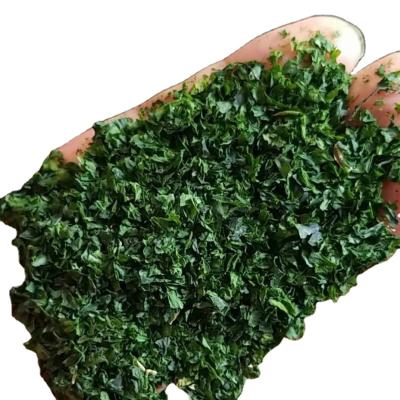 China Wholesale  Seaweed Ulva Flakes Dried AOSA Aonori for sale