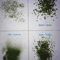 China Hot Dried Aosa Seaweed Aonori Flakes for sale