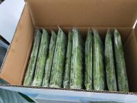 China Wholesale  Seaweed Salad  Japan Frozen Seasoned  HIYASHI WAKAME  Seaweed Salad Chuka Wakame for sale