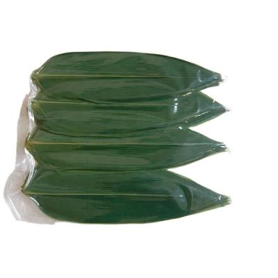 China Wholesale Fresh Bamboo Leaf Leaves for sale