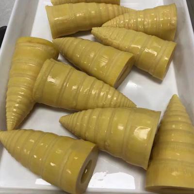 China Hot Wholesale Chinese Fine Quality Freshly Slender Pickled Canned Bamboo Shoots Cut Into Halves for sale