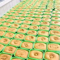China Hot Wholesale  Sushi Seasoning Soybean Paste DARK Shiro Miso for sale