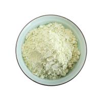 China Factory Price Dry Sushi Horseradish Sachet 1kg Wasabi Powder for sale