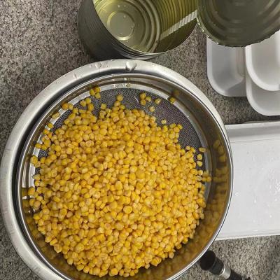 China Wholesale Quality Fresh Cut Whole Kernel Sweet Fresh Corn Packaging Buy Sweet Corn Bulk Corn Canned for sale