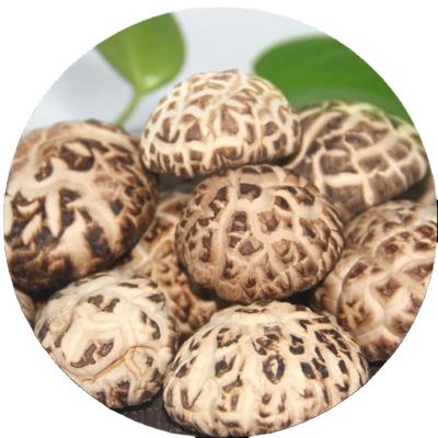 China Wholesale Dried Shiitake Mushroom AD Quality Raw Material Lions Mane Mushroom Extract Dried Mushroom Shiitake Price Per Kg for sale