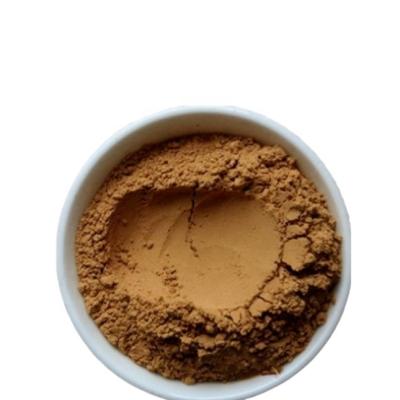 China Hot Sale Natural Fermented Dehydrated Tamari Instant Soy Sauce Powder for Seasoning Premium Food Additives for sale