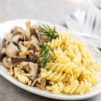 China Dry and Cool Oem 100% Australian Most Popular Durum Wheat Short Pasta Low Fat Salt Macaroni 500G for sale