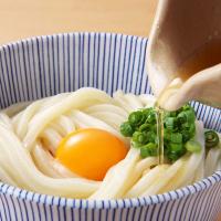 China Quality Bulk Japanese Fresh Ramen Udon Noodles Japanese Traditional Healthy Food Fresh Frozen Udon Noodles for sale