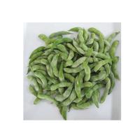 China New Crop Frozen Vegetable IQF Frozen Soybean Peeled Edamame Beans With Salt Origin for sale