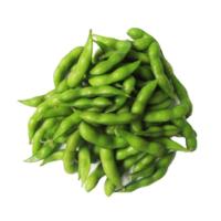 China New Crop Frozen Vegetable IQF Frozen Soybean Peeled Edamame Beans With Salt Origin for sale