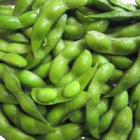 China Japanese Styl Frozen Vegetables New 500g IQF Soy Unpeeled Bean Kernel Frozen Shelled Edamame Beans for sale
