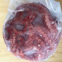 China Oem Hot Selling Healthy Japanese Seafood Food Material Natural Taste Frozen Boiled Octopus Cleande Baby Octopus for sale