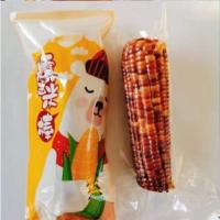 China Wholesale Preservation Quick Frozen Sweet Glutinous Corn Stick  Grains Fresh Sweet  Corn Cutting on the Cob for sale