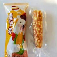 China Wholesale Preservation Quick Frozen Sweet Glutinous Corn Stick  Grains Fresh Sweet  Corn Cutting on the Cob for sale