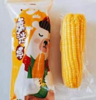 China Wholesale Preservation Quick Frozen Sweet Glutinous Corn Stick  Grains Fresh Sweet  Corn Cutting on the Cob for sale