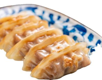China Frozen  Dumplings Gyoza Shrimp Chicken Duck  Vegetable Gyoza for sale