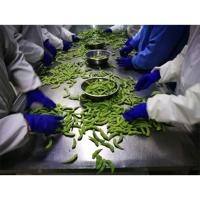 China China Wholesales  Frozen Bulk Edamame Beans Edamame for sale