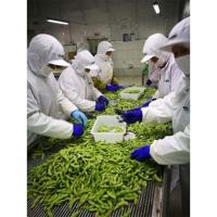 China China Wholesales  Frozen Bulk Edamame Beans Edamame for sale