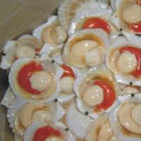 China HOT SELLING High Quality Frozen Half Shell Scallop for sale