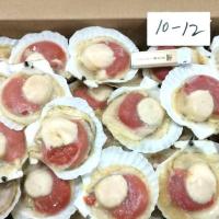 China HOT SELLING High Quality Frozen Half Shell Scallop for sale