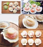 China HOT SELLING High Quality Frozen Half Shell Scallop for sale