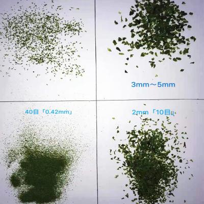 China Wholesale High Fiber Aonori Seaweed Ulva Lactuca Powder with 24 Month Shelf Life and Seasoned Taste for sale