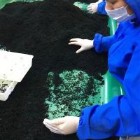China 500g Organic Dried Wakame with 24 Months Shelf Life and Dark Green Color for sale