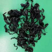 China 500g Organic Dried Wakame with 24 Months Shelf Life and Dark Green Color for sale