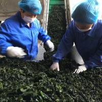 China 500g Organic Dried Wakame with 24 Months Shelf Life and Dark Green Color for sale