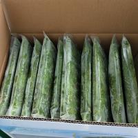 China Wholesale Frozen Seasoned Organic Seaweed Salad Chuka Wakame HIYASHI WAKAME for Sushi for sale