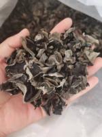 China Wholesale Bulk Organic Dried Black Fungus Agaricus Blazei with 24 Months Shelf Life Cultivated for sale