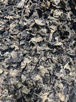 China Wholesale Bulk Organic Dried Black Fungus Agaricus Blazei with 24 Months Shelf Life Cultivated for sale