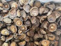 China Premium Dried Shiitake Mushroom Stem with 24 Months Shelf Life, 1kg/bag and AD Drying Process for sale