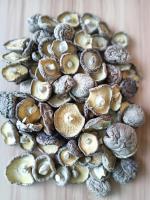 China Premium Dried Shiitake Mushroom Stem with 24 Months Shelf Life, 1kg/bag and AD Drying Process for sale